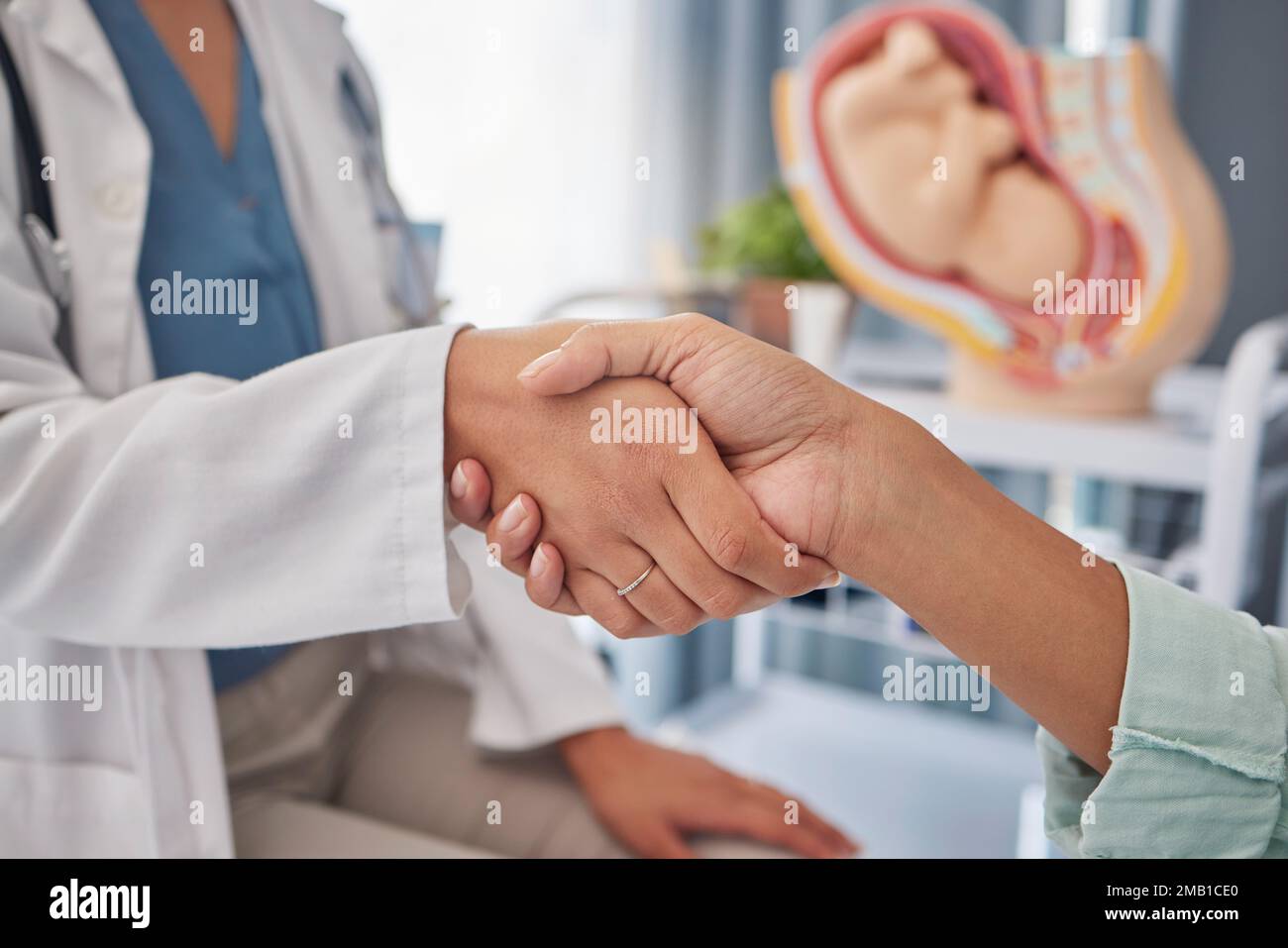 Pregnancy patient, doctor and gynecologist handshake for welcome, thank ...