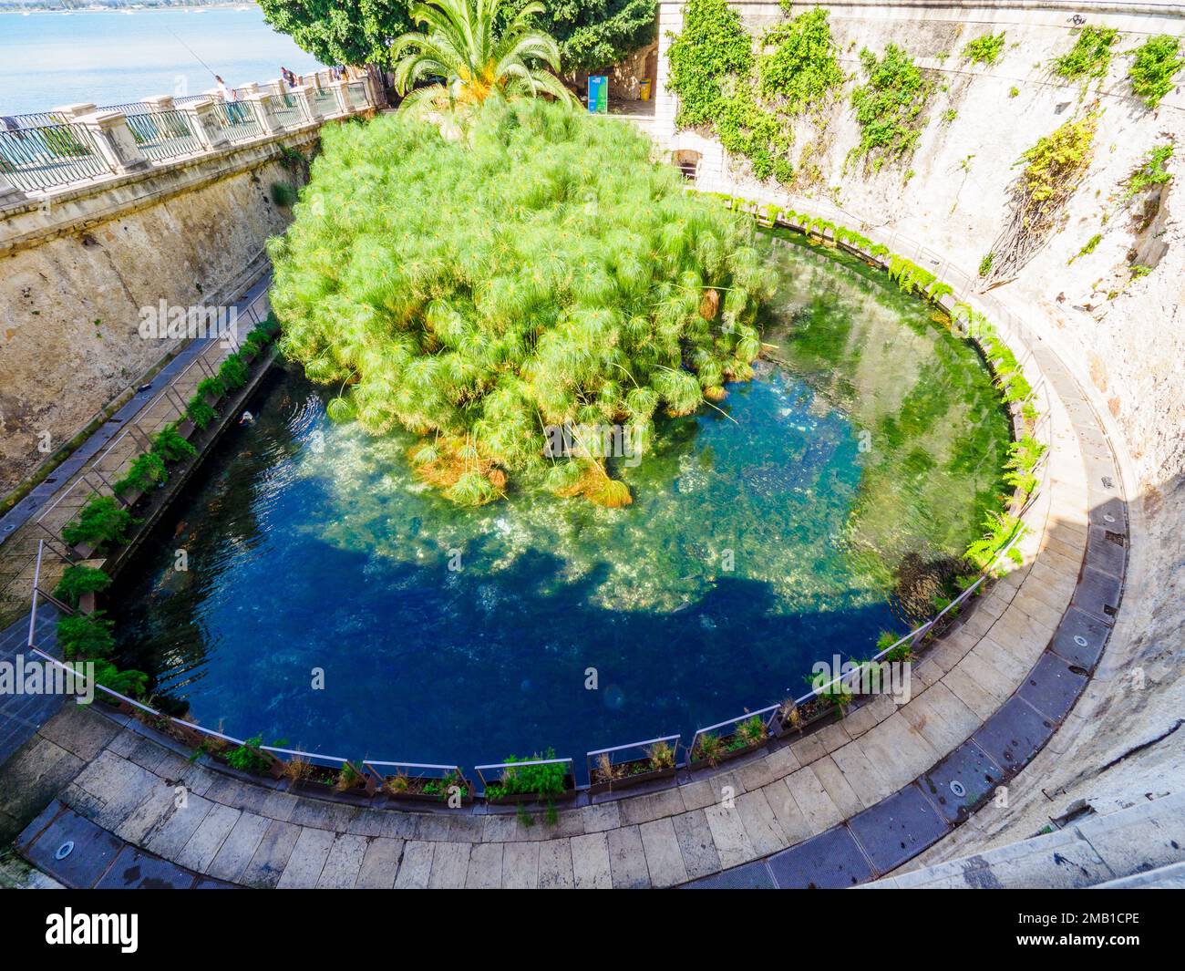Arethusa Spring in Ortigia - Syracuse, Sicily, Italy Stock Photo - Alamy