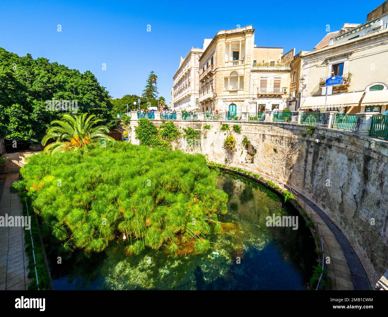 Arethusa hi-res stock photography and images - Alamy
