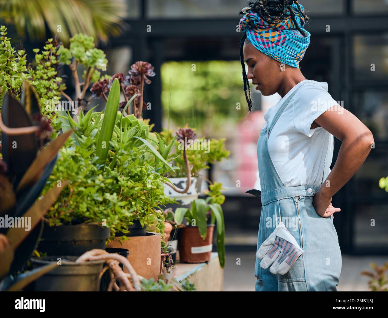Black woman, small business and tired at plants shop for garden ...