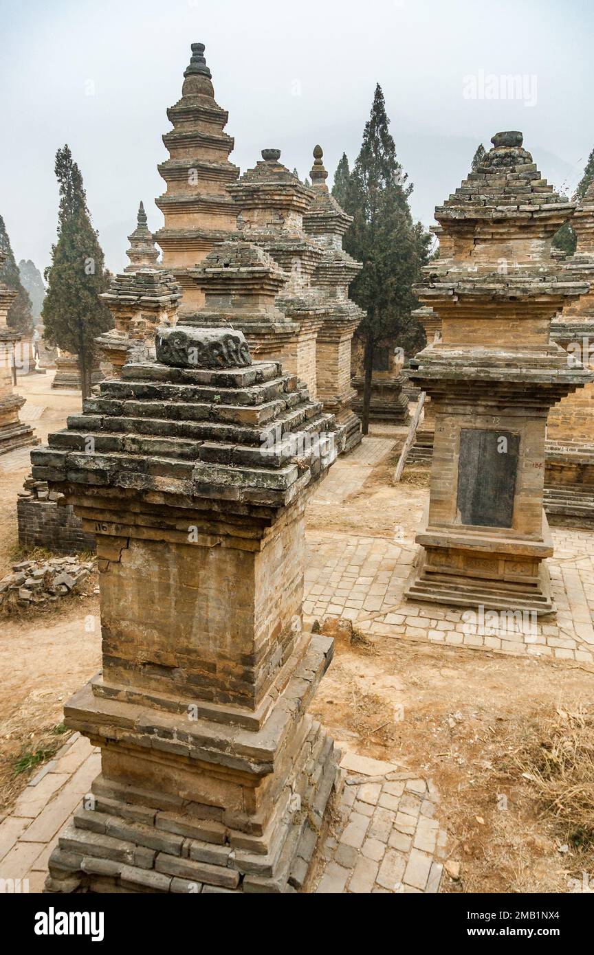 Brick tombs of eminent monks in the Pagoda Forest cemetery at Shaolin ...