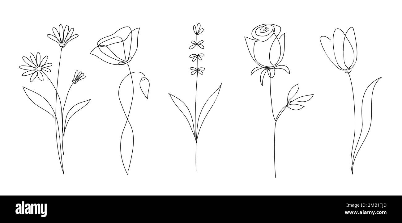 Flower set continuous outline style. Decoration flower, botanical ...