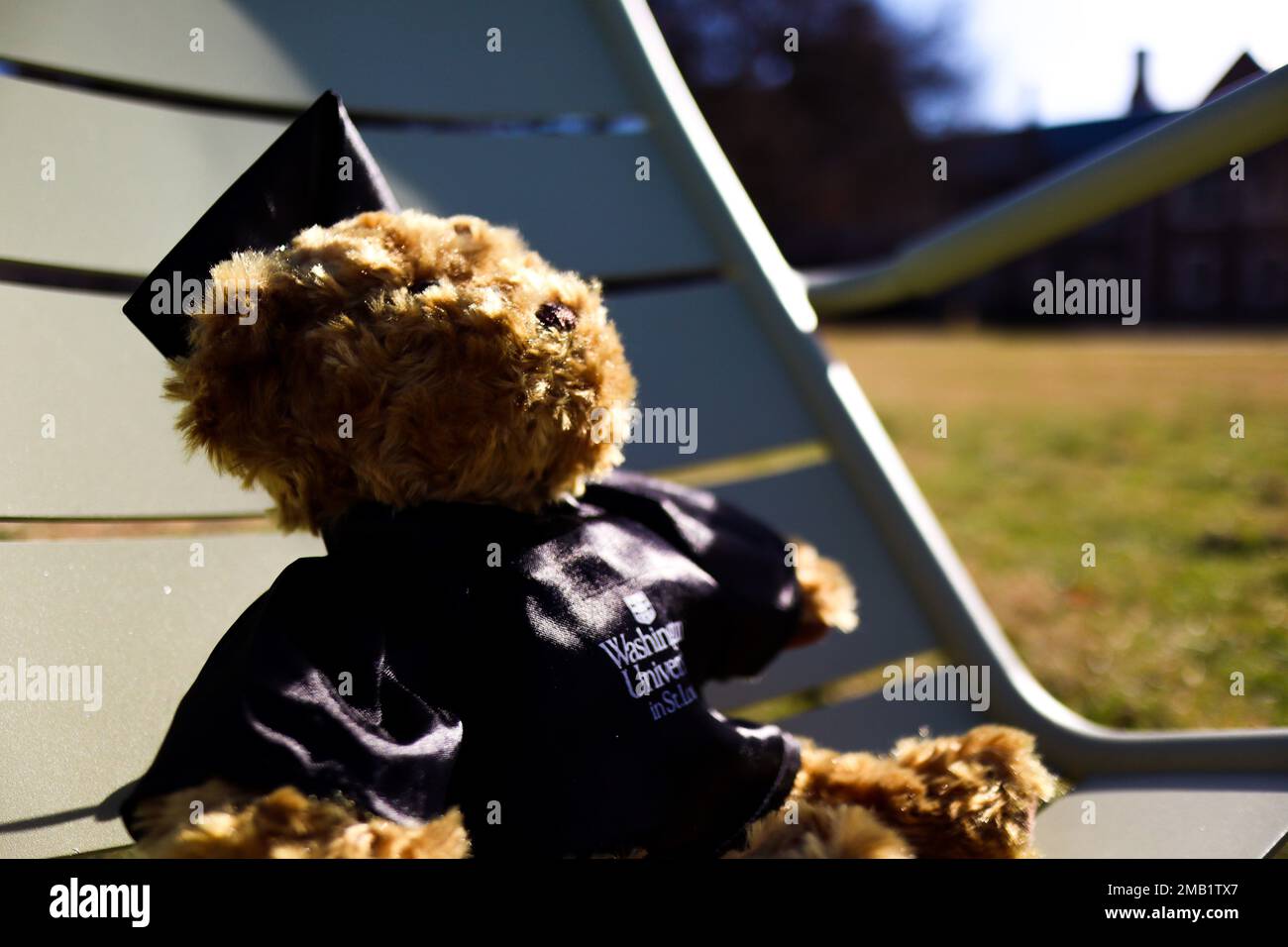 Bear in a uniform hi-res stock photography and images - Alamy