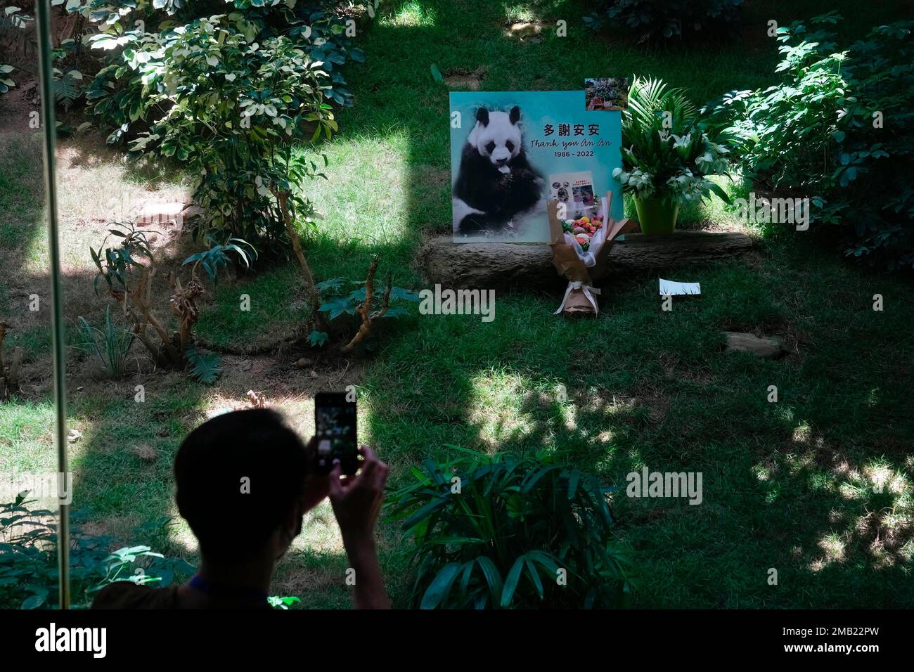 A visitor takes a photo to mourn the death of Chinese Giant panda An An ...