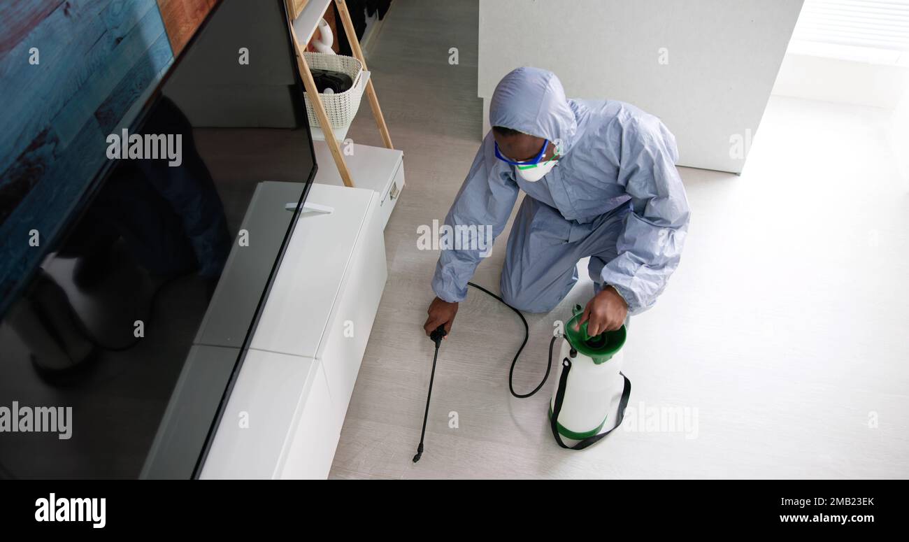 Exterminate Pest Termites In Living Room Service Stock Photo - Alamy
