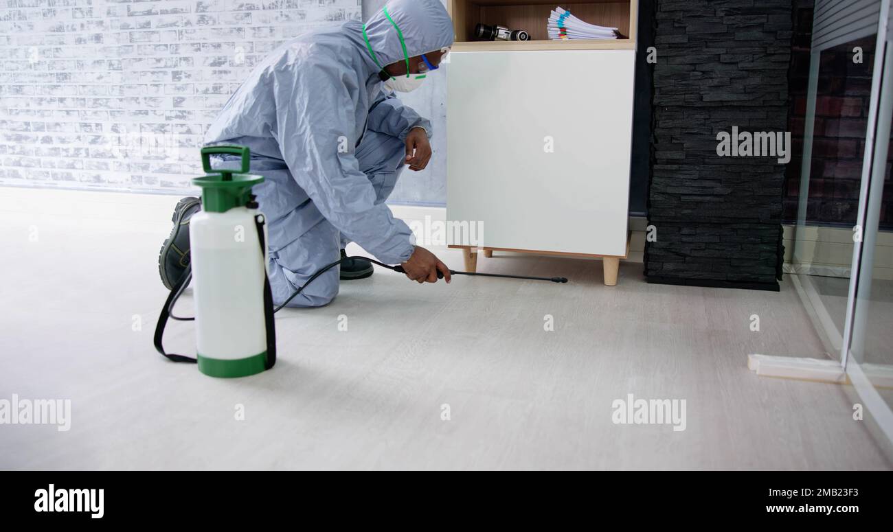 Pest Control Exterminator Man Spraying Termite Pesticide In Office ...