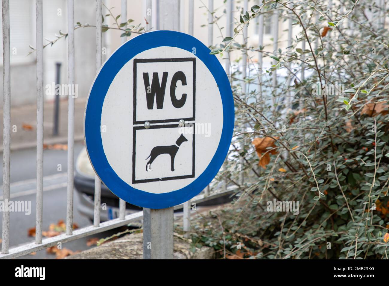 wc dog street text means Toilets public restroom for pet animal dogs ...