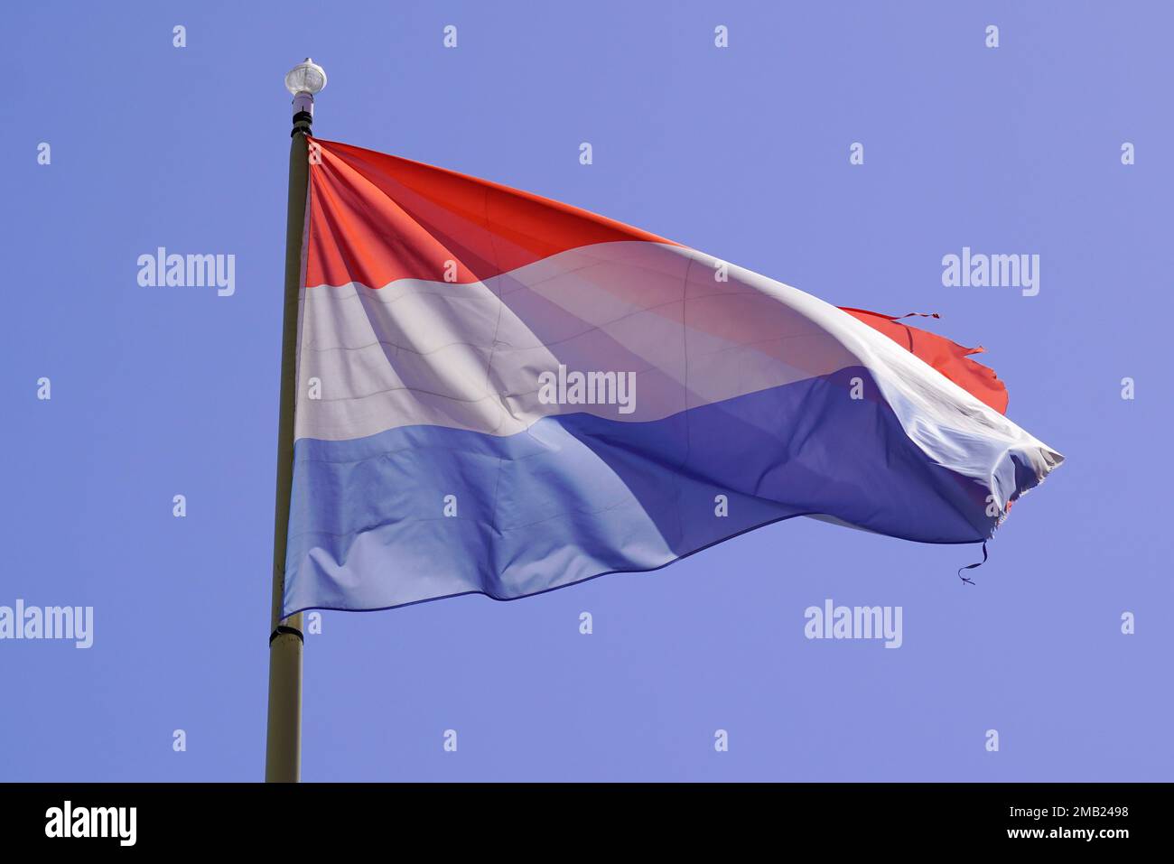 flag of the Netherlands floats in blue sky Stock Photo - Alamy