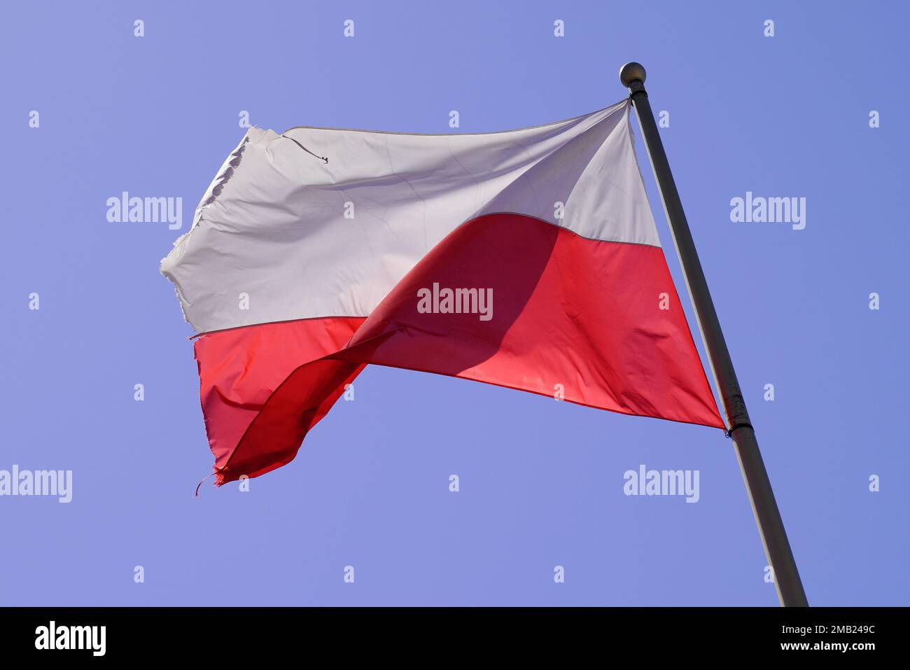 poland polish flag red white wave over a blue sky Stock Photo - Alamy
