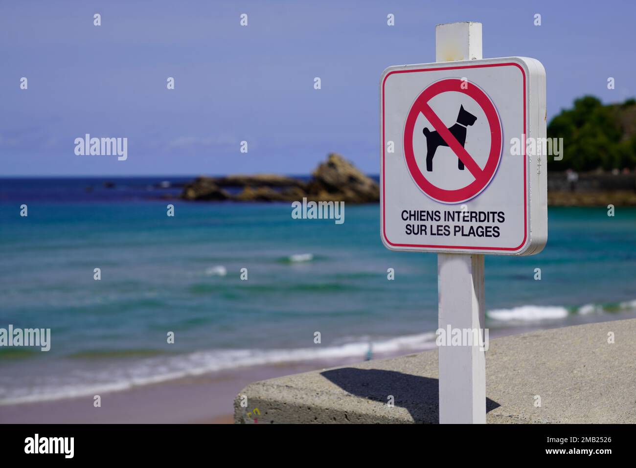 Prohibiting red signs dogs animals prohibited on beach dog sign french ...