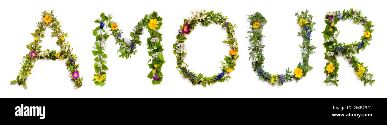 Blooming Flower Letters Building French Word Amour Means Love Stock ...