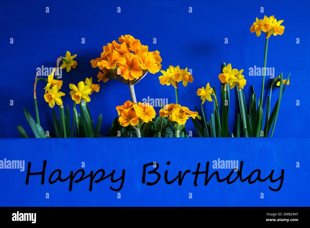 Spring Flowers, Narcissus, Text Happy Birthday, Blue Wooden Background ...