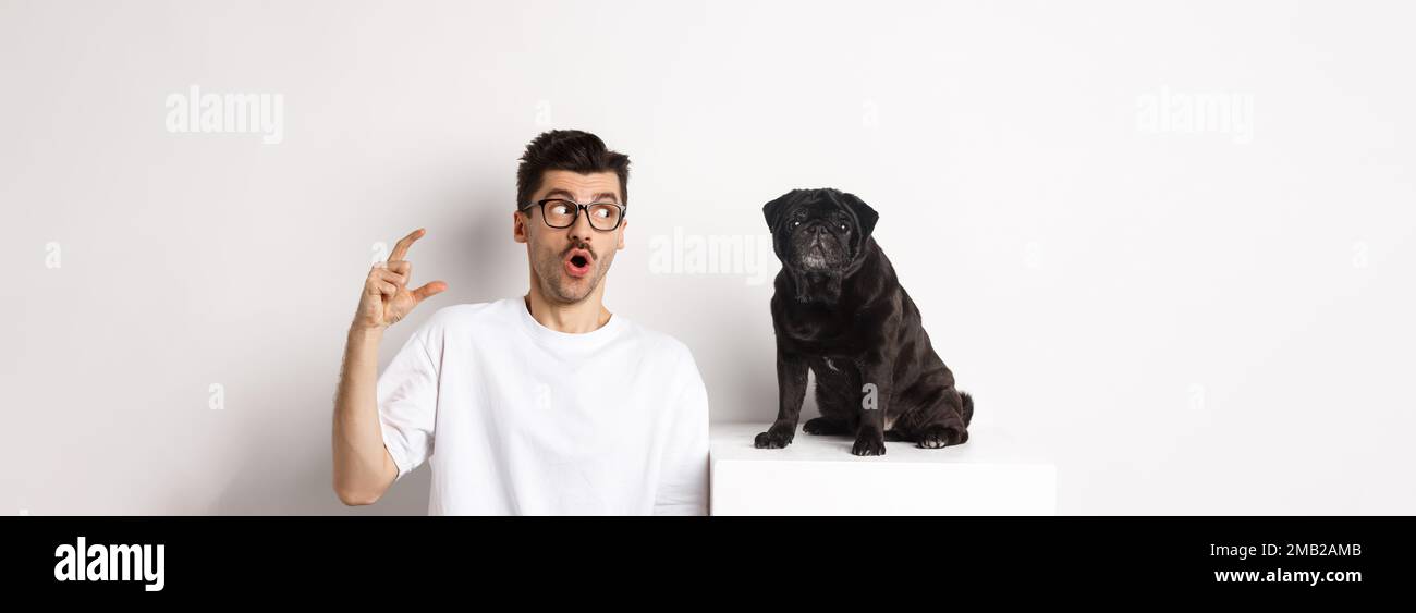 Happy male dog owner sitting near cute black pug, looking at pet with ...
