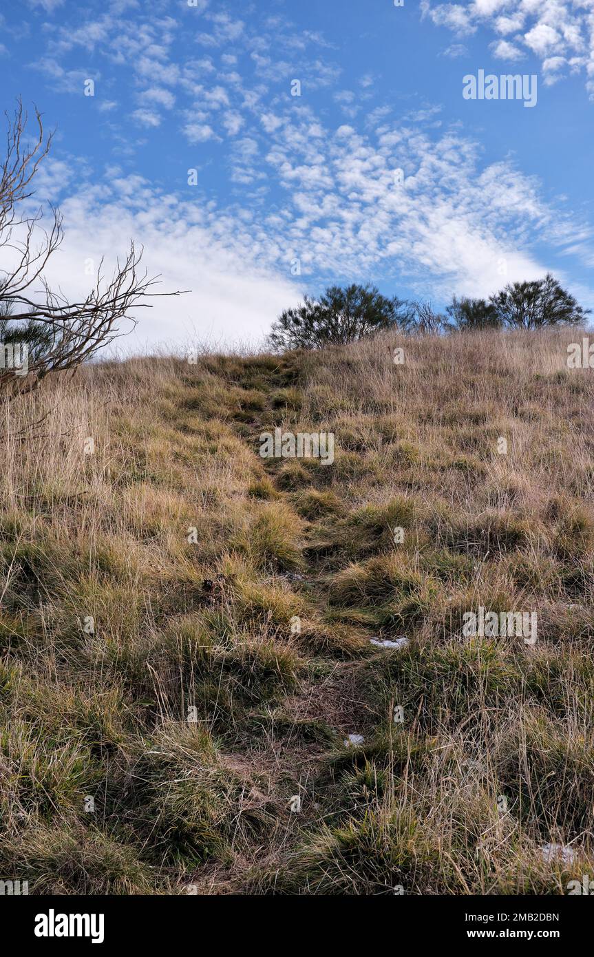 steep and rough mountain path in Etna National Park, a nature trail to ...
