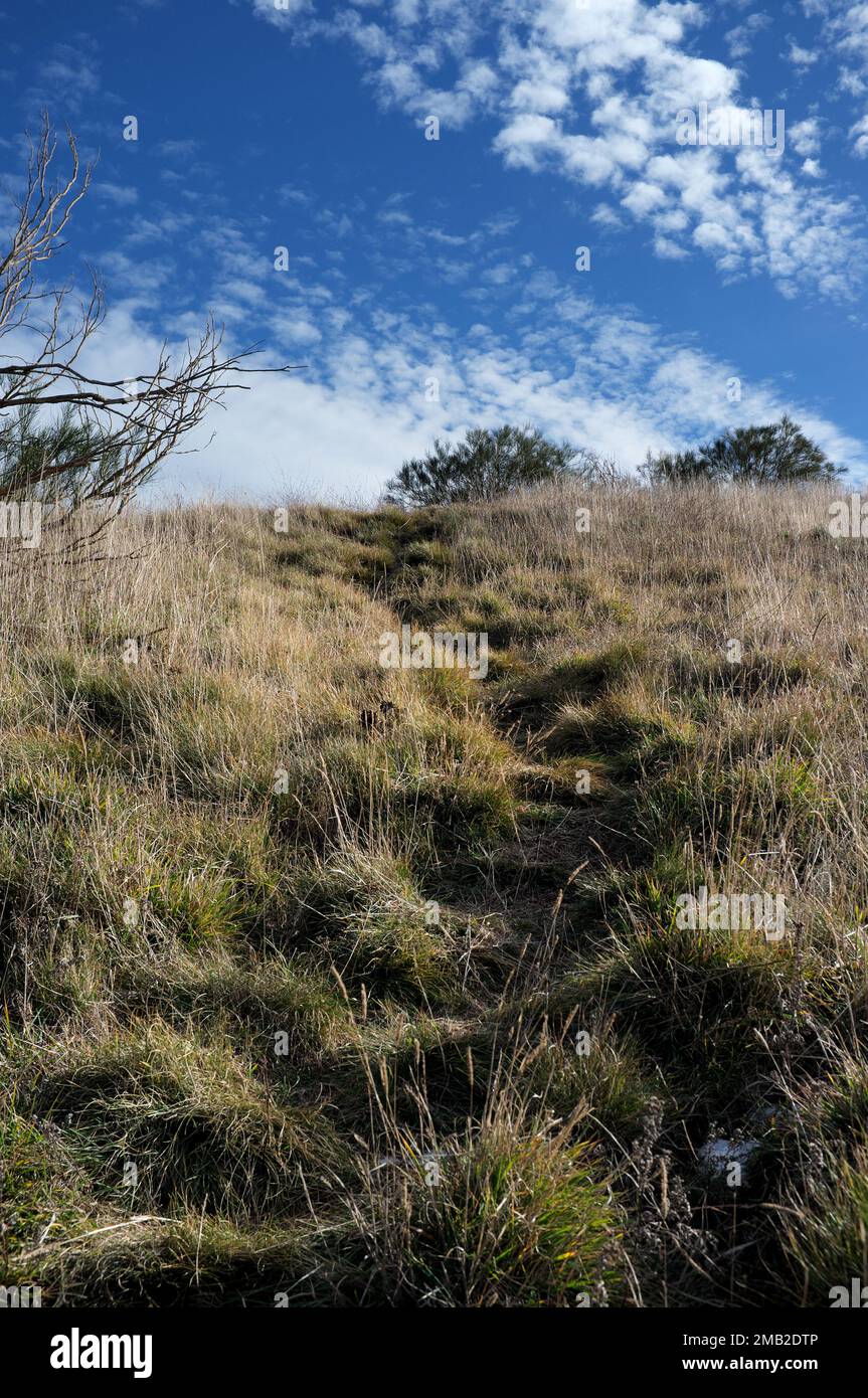 steep and rough mountain path in Etna National Park, a nature trail to ...