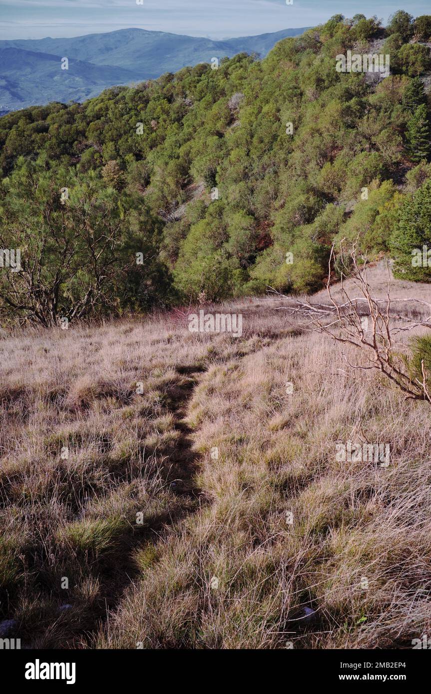 steep and rough scenic path in mountain of Etna National Park, a track ...