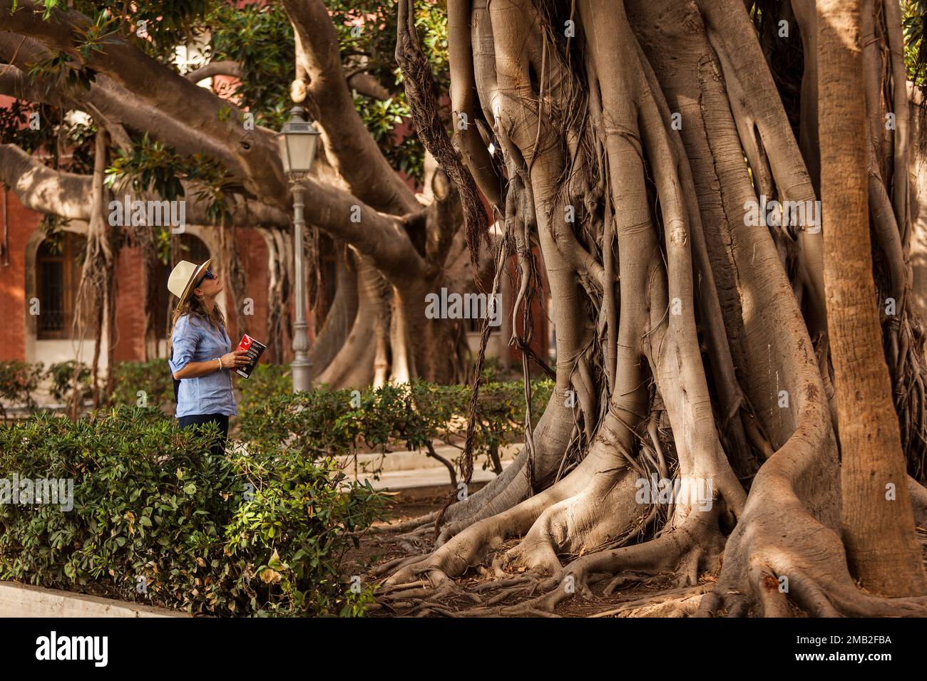 Italy, Sicily: Siracusa, Ortigia, giardino di Aretusa Stock Photo - Alamy