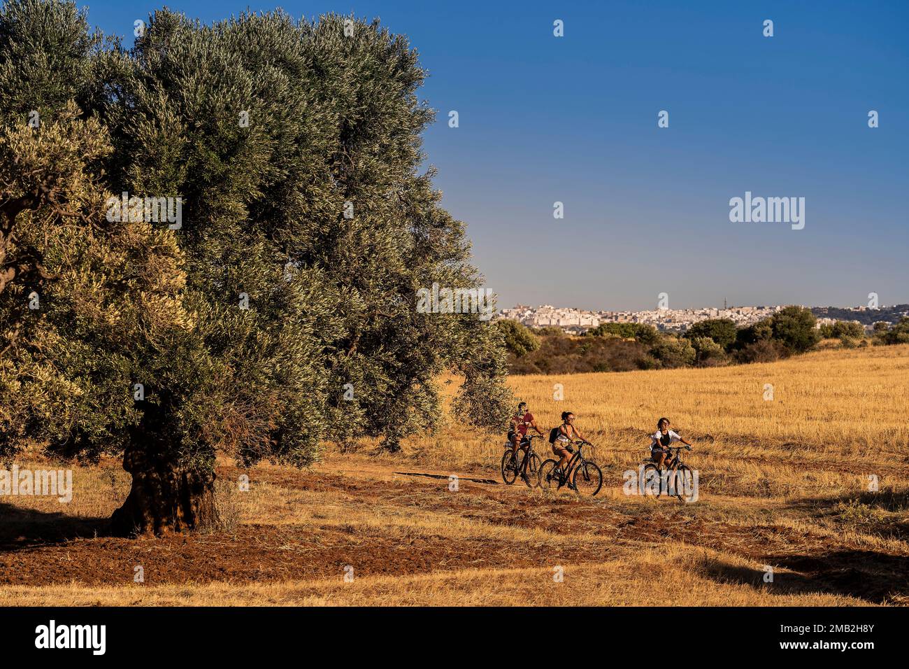 Italy, Puglia, pedalling between Torre Canne, Montalbano and Egnazia ...