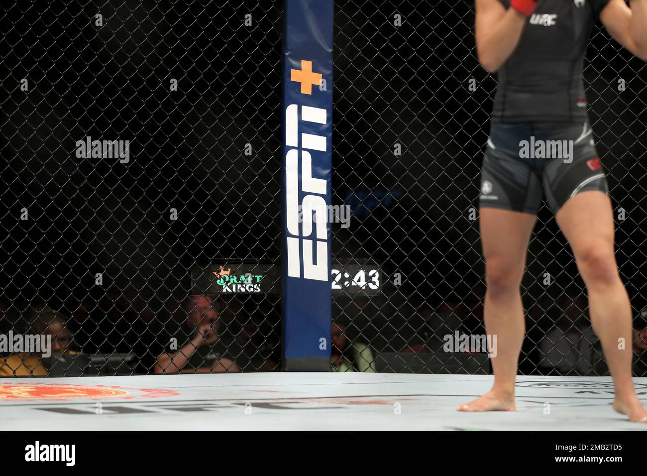 The ESPN+ logo is seen during a mixed martial arts bout at UFC on ABC 3 ...