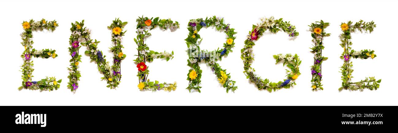 Blooming Flower Letters Building German Word Energie Means Energy Stock ...