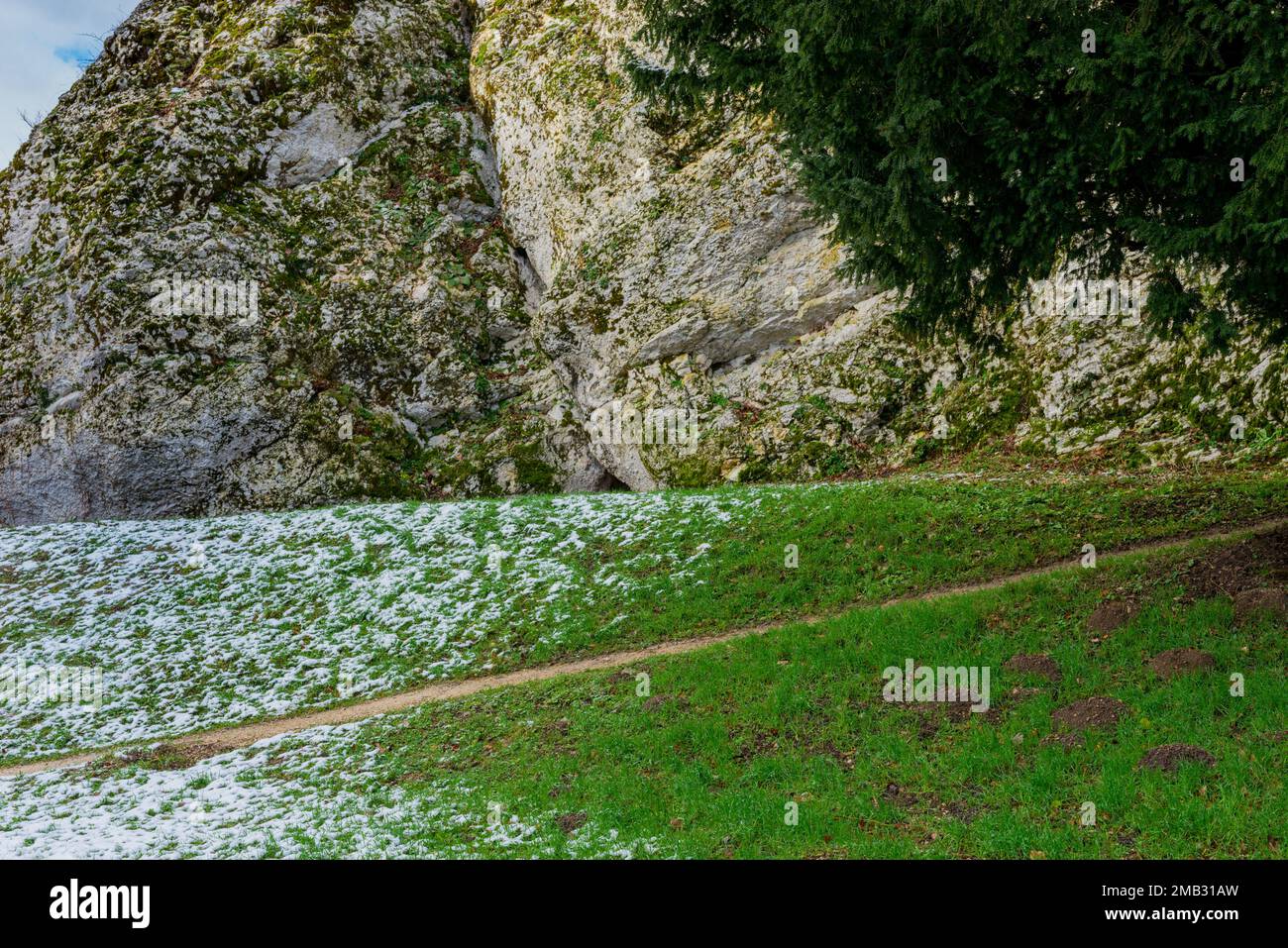 The game between geometric shapes and organic shapes Stock Photo - Alamy