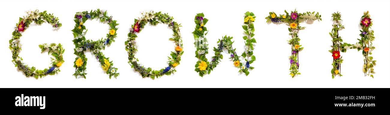 Blooming Flower Letters Building English Word Growth Stock Photo - Alamy