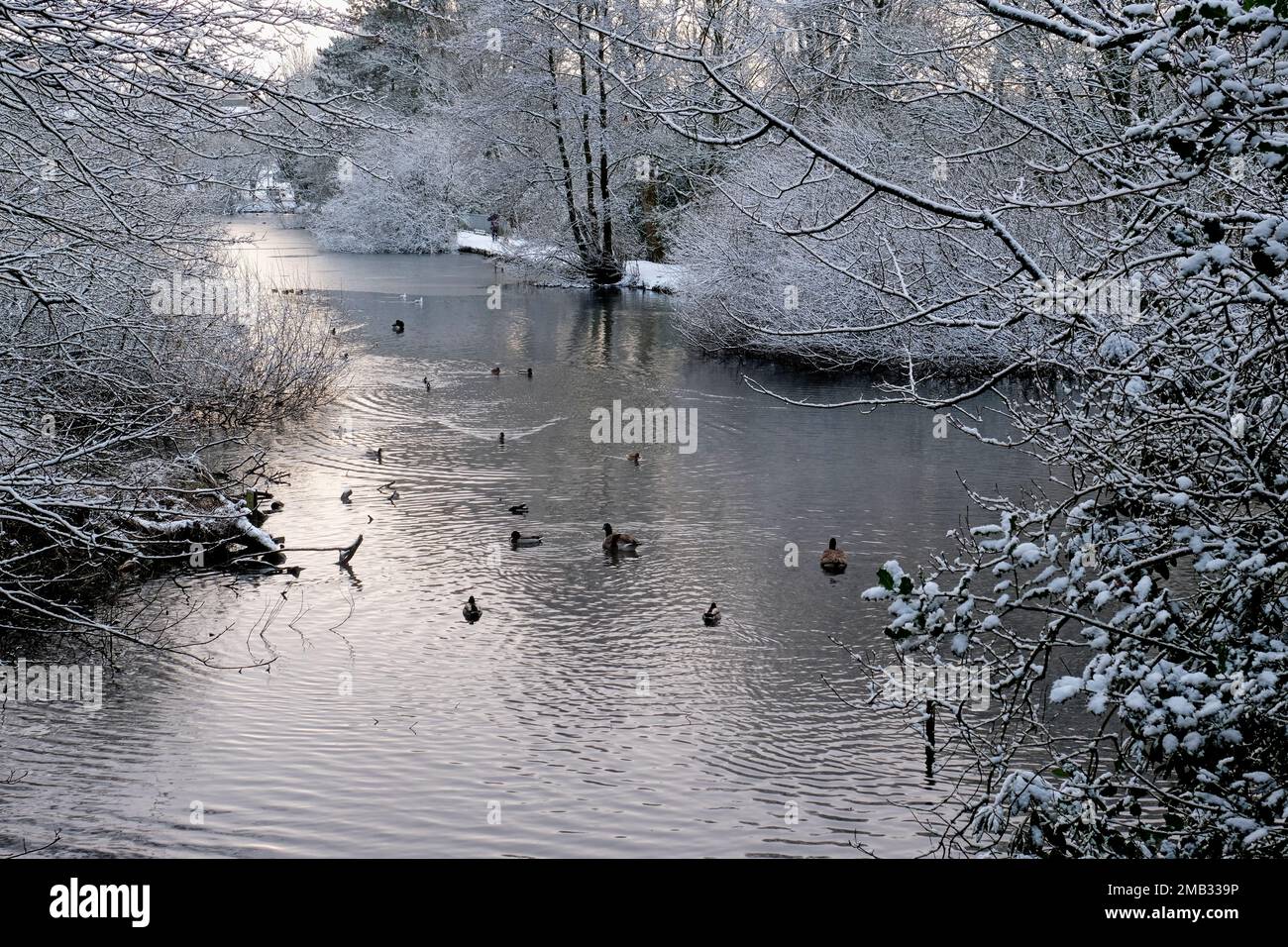 Parkhall lake hi-res stock photography and images - Alamy
