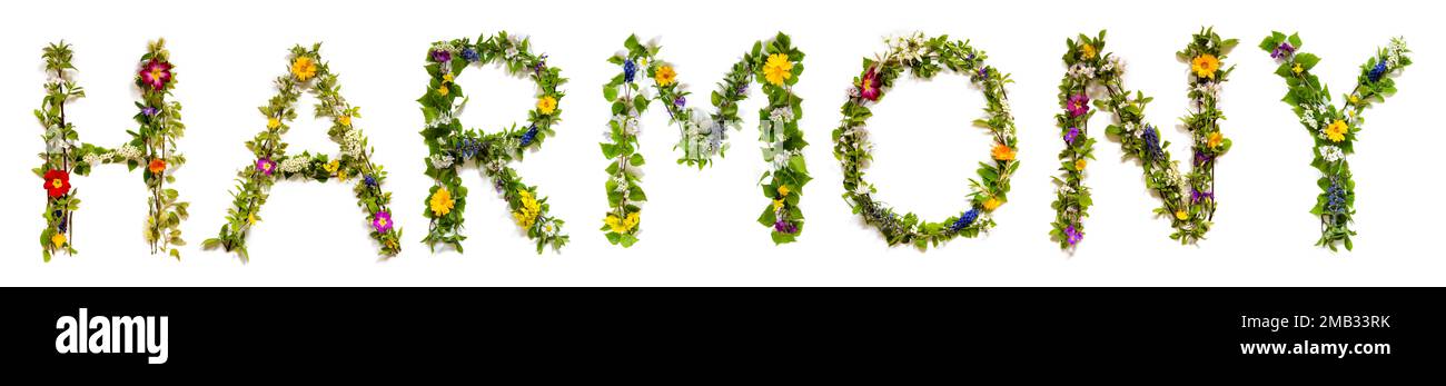 Blooming Flower Letters Building English Word Harmony Stock Photo - Alamy