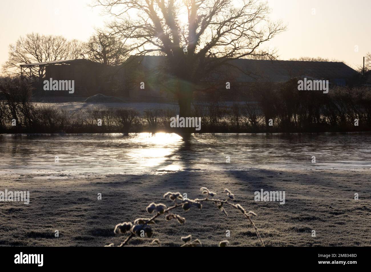 Woodchurch, Kent, UK. 20th Jan, 2023. UK Weather: A chilly start to the ...