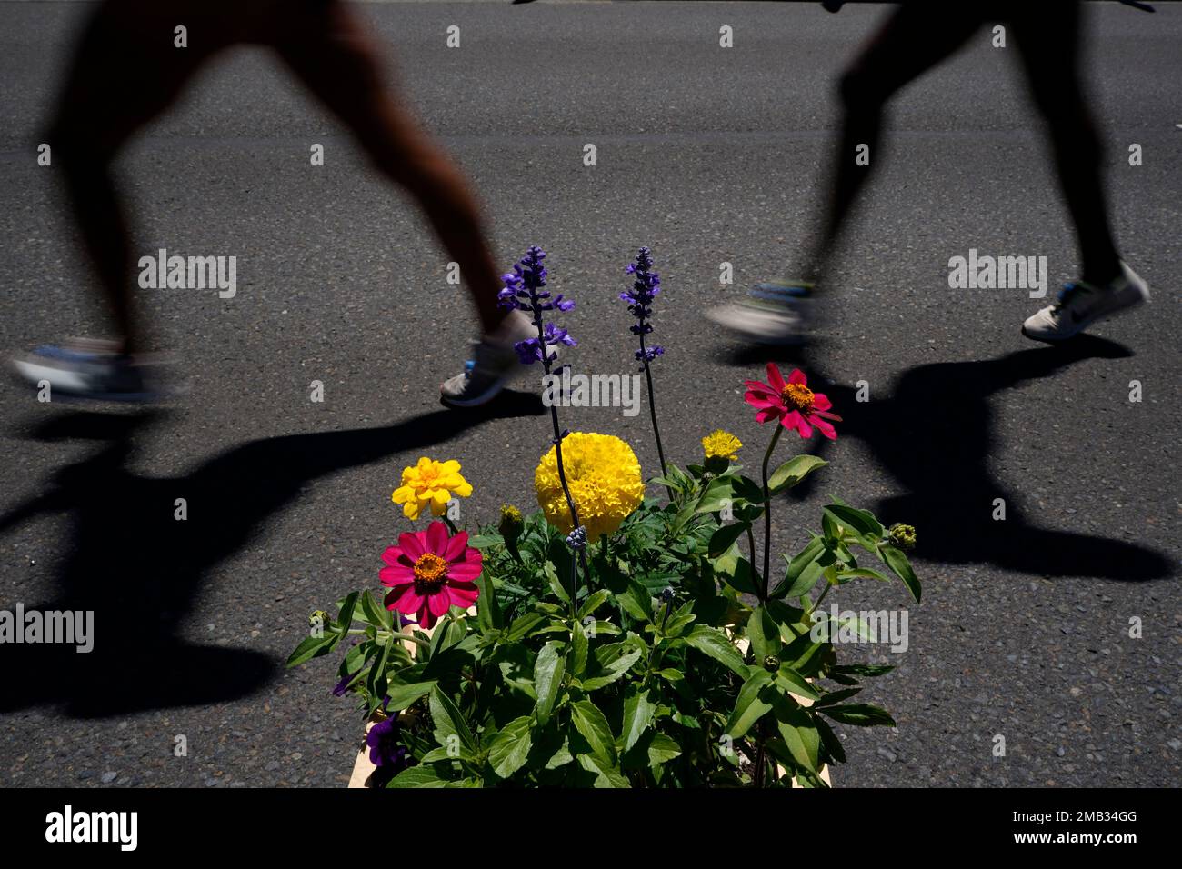 Runners compete in the final in the women's 20km race walk at the World ...