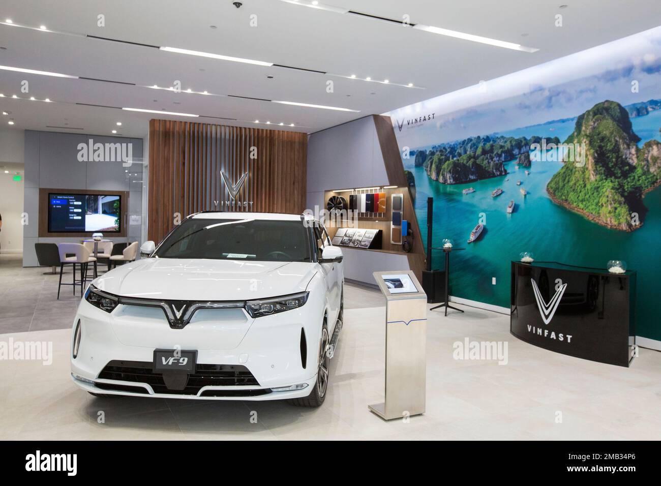 IMAGES DISTRIBUTED FOR VINFAST - VinFast Auto celebrates the grand ...