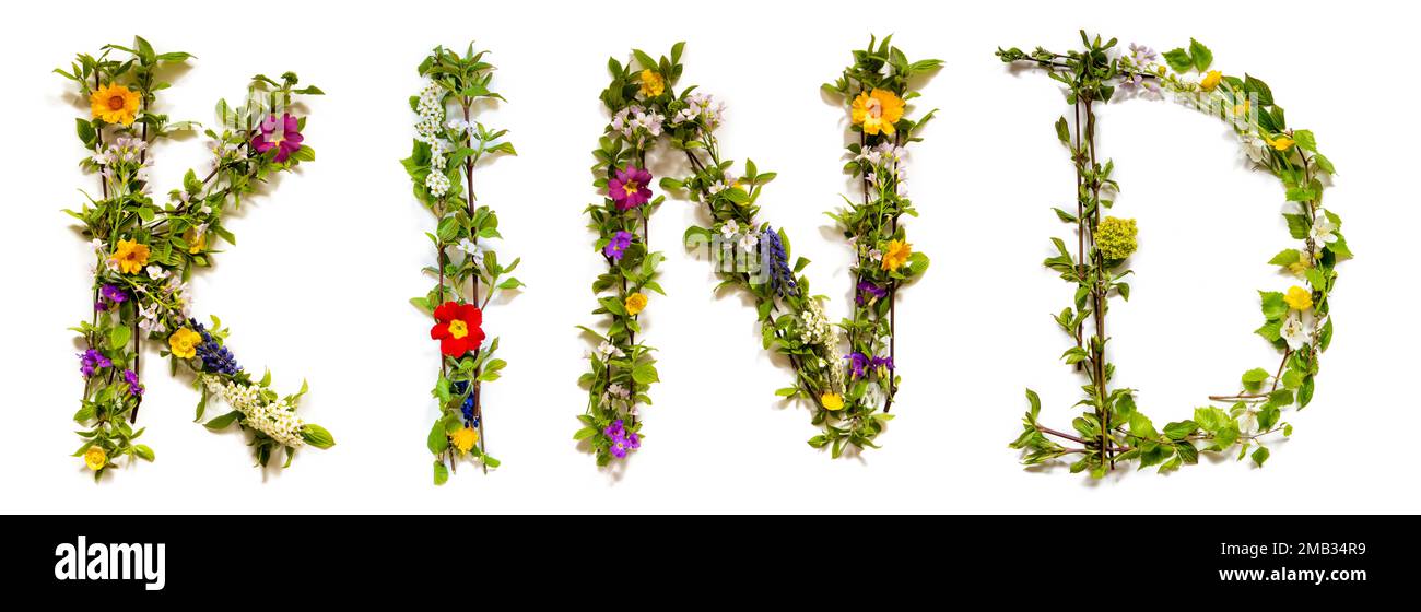 Blooming Flower Letters Building English Word Kind Stock Photo - Alamy