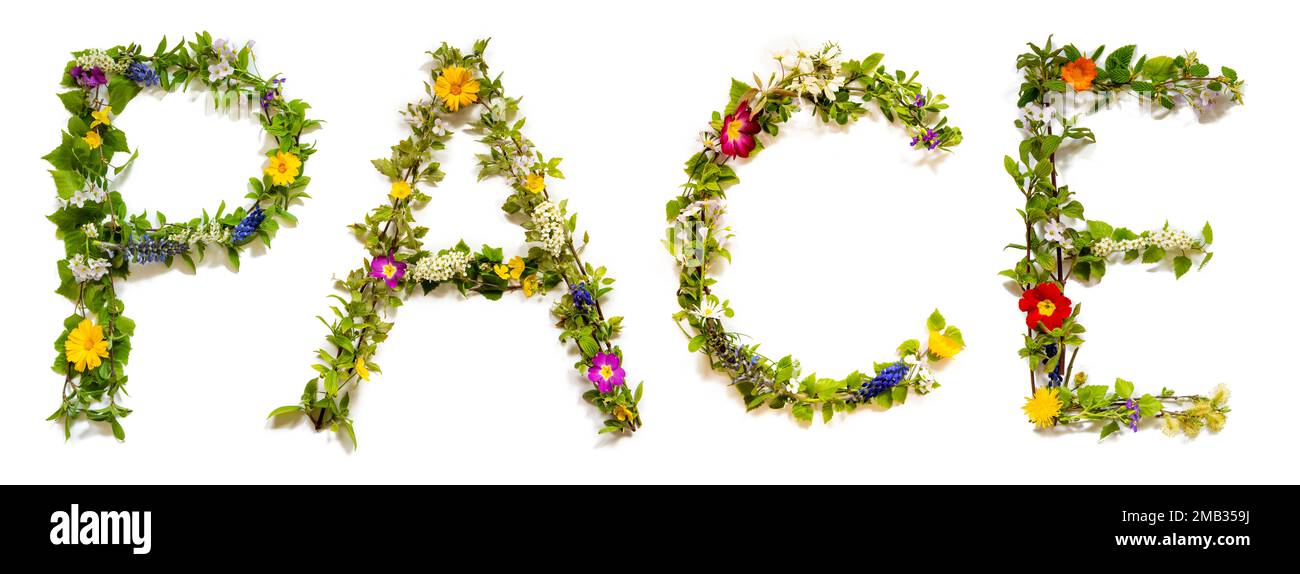 Blooming Flower Letters Building English Word Pace Stock Photo - Alamy