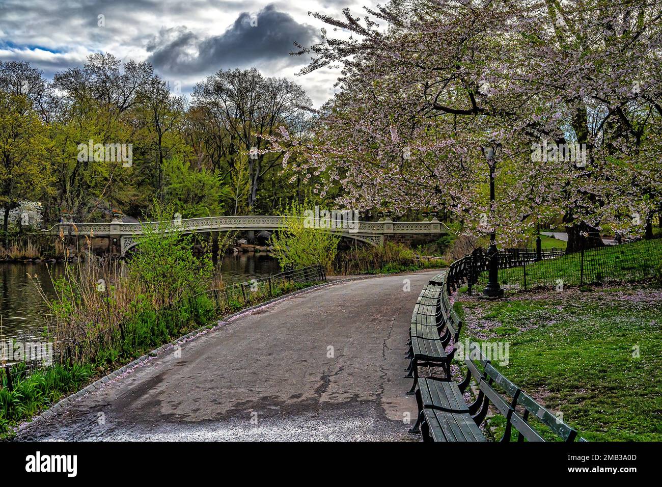Bow bridge, Central Park, New York City in early spring, morning Stock ...