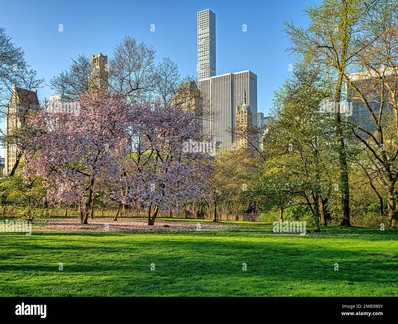 Spring in Central Park, New York City Stock Photo - Alamy