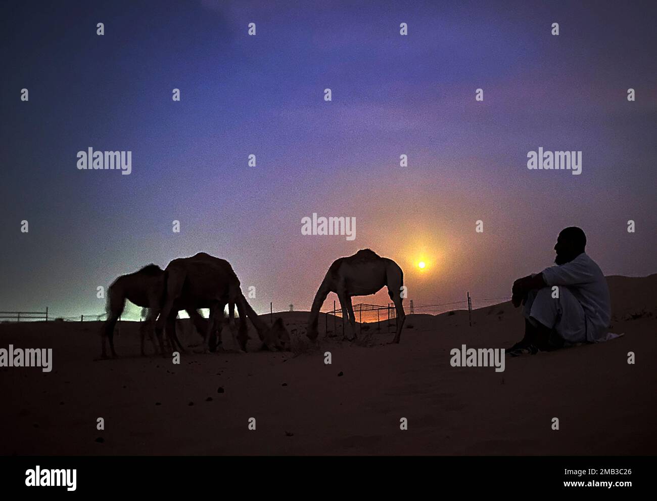 Pakistani camel keeper, Asdollah, sits on the sands under a full moon ...