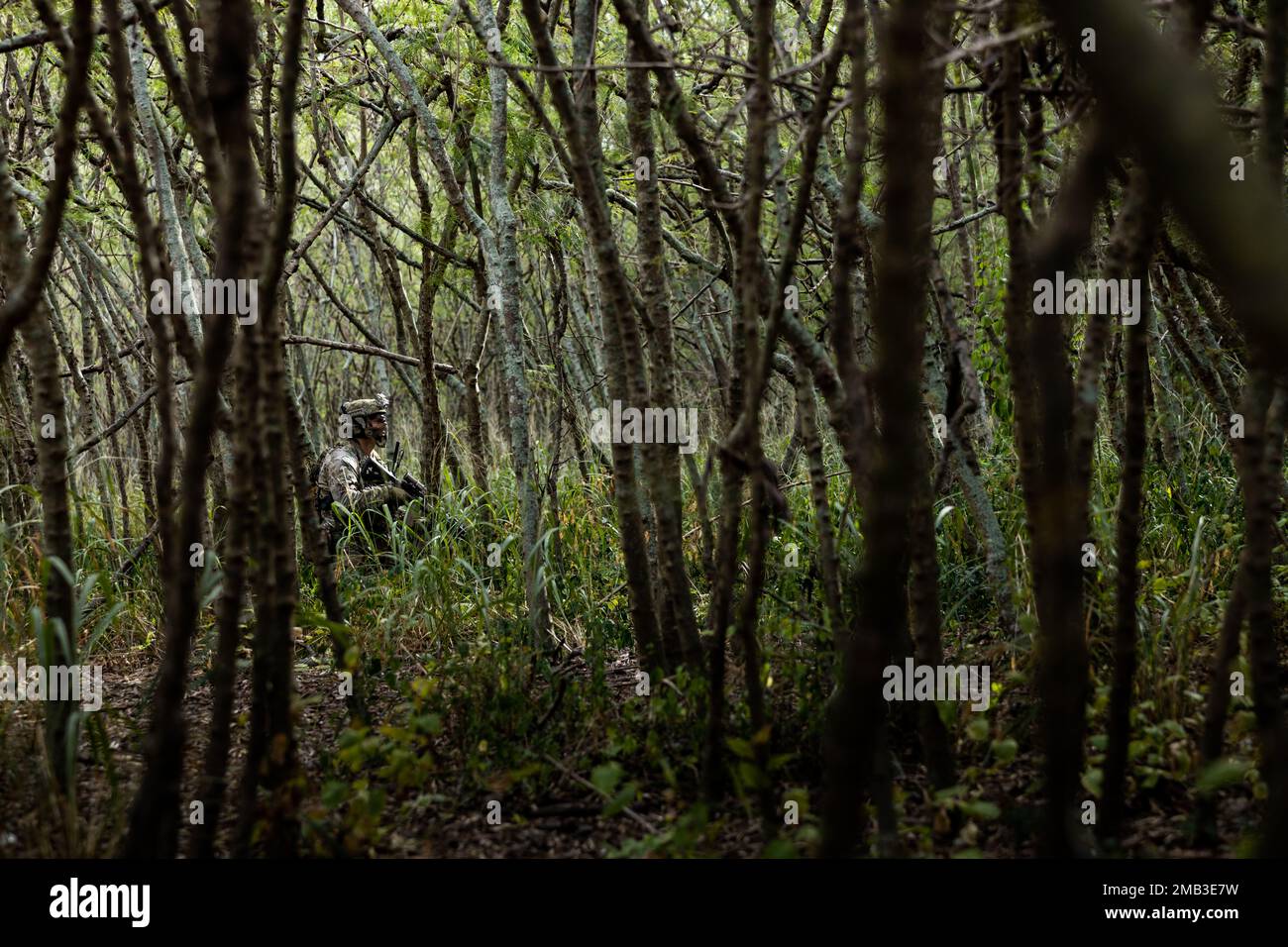 A U.S. Army Ranger with the 2nd Battalion, 75th Ranger Regiment, moves ...