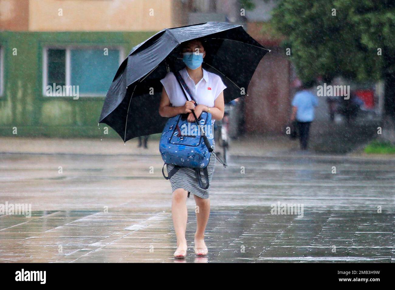 A woman walks in Sungri Street in the rain in Pyongyangg, North Korea ...
