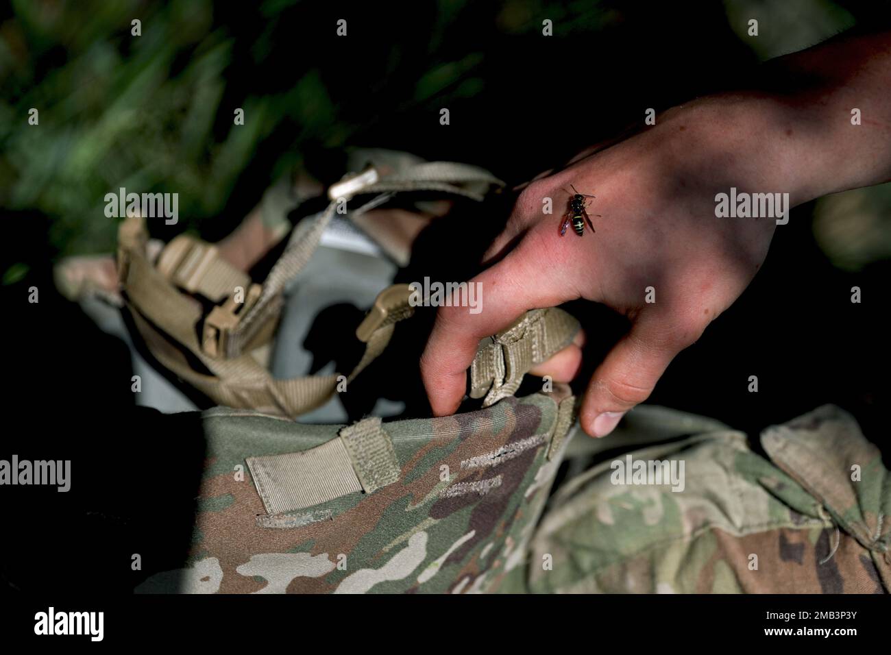 Soldiers with Company B, 1st Battalion, 128th Infantry Regiment, 32nd ...