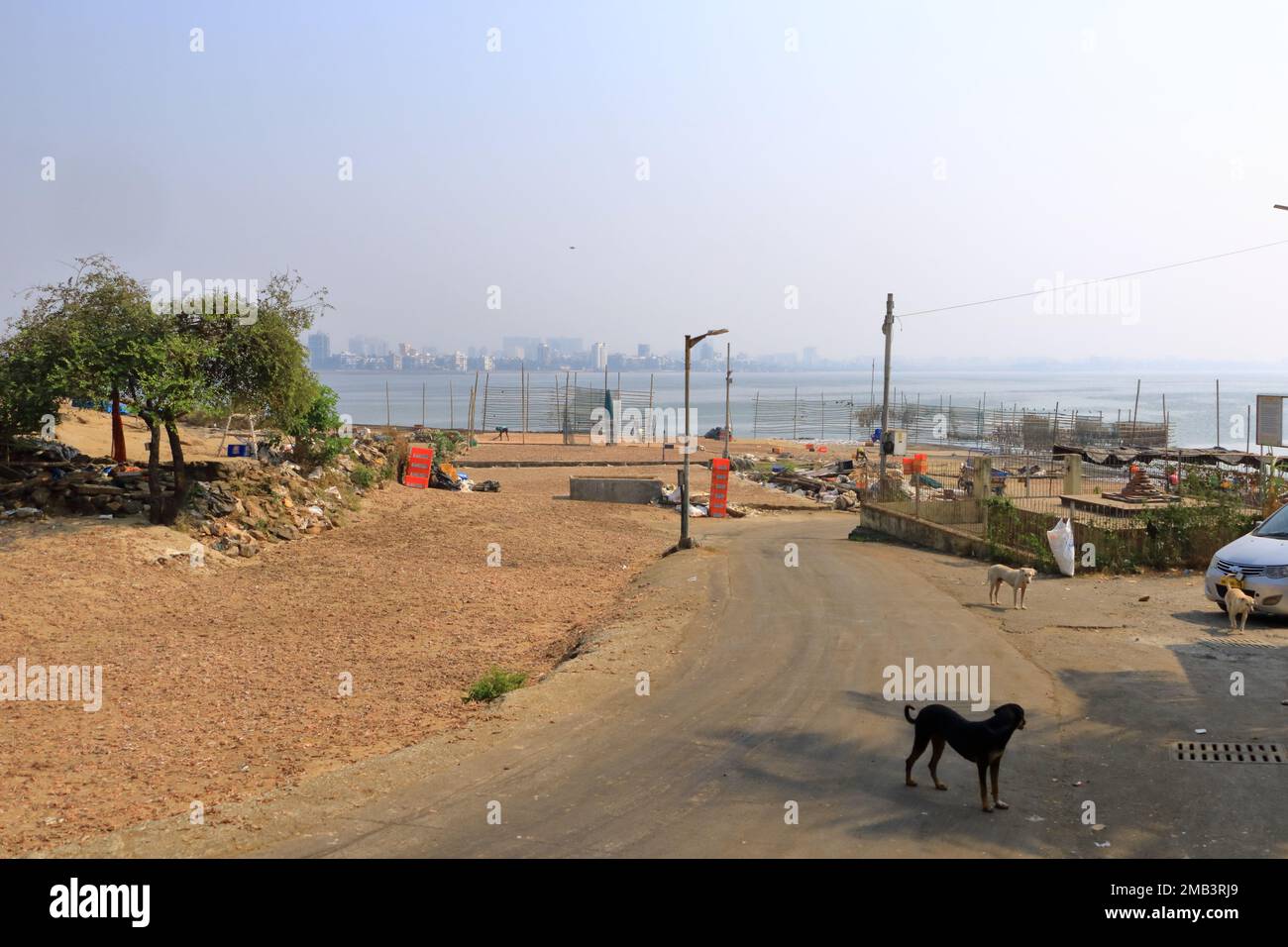 December 21 2022 - Mumbai, Maharashtra in India: fishing port in Mumbai ...