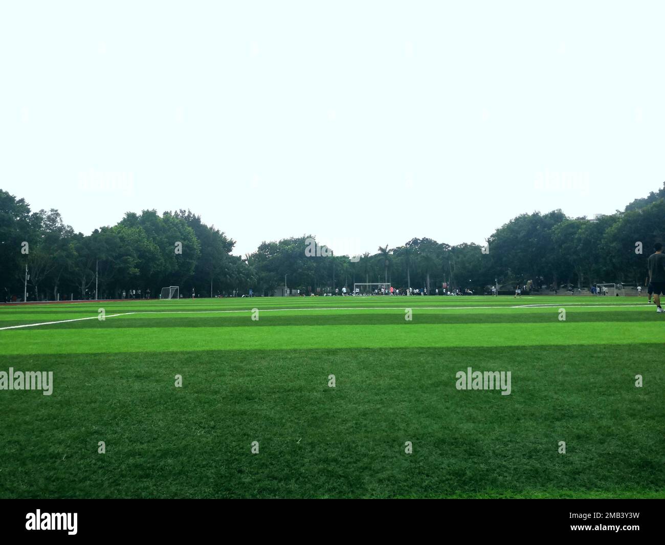 An aerial view of greenery field with dense trees Stock Photo - Alamy