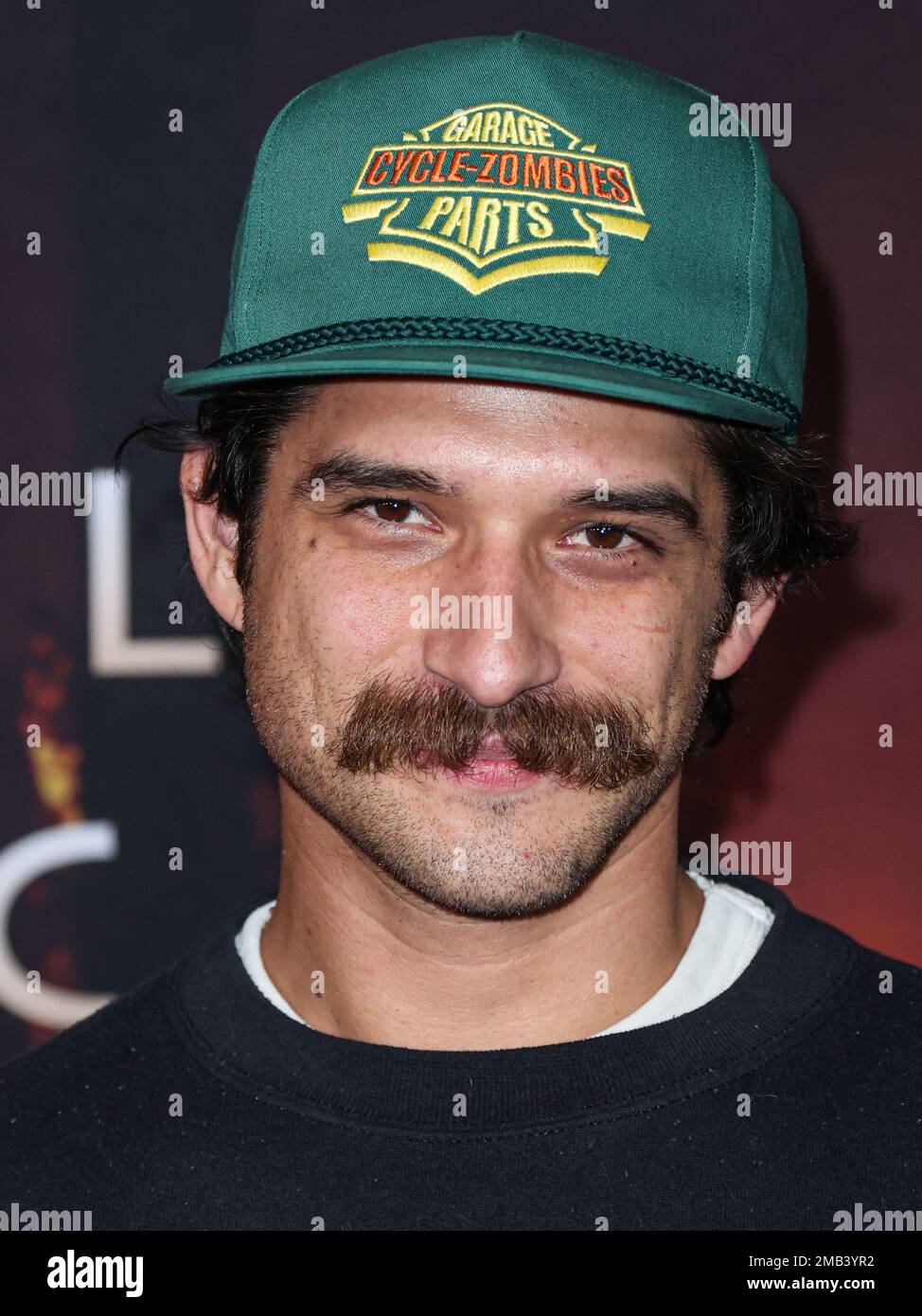 LOS ANGELES, CALIFORNIA, USA - JANUARY 19: American actor and musician ...