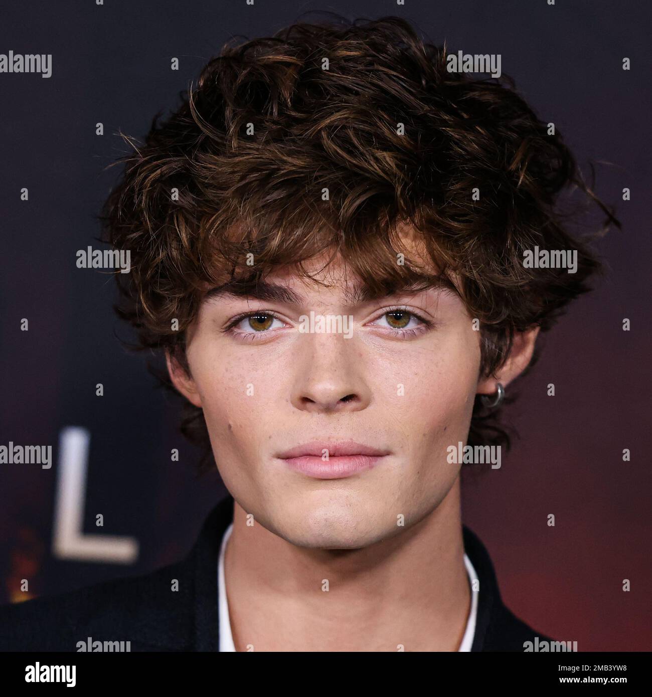 LOS ANGELES, CALIFORNIA, USA - JANUARY 19: American actor Tyler ...