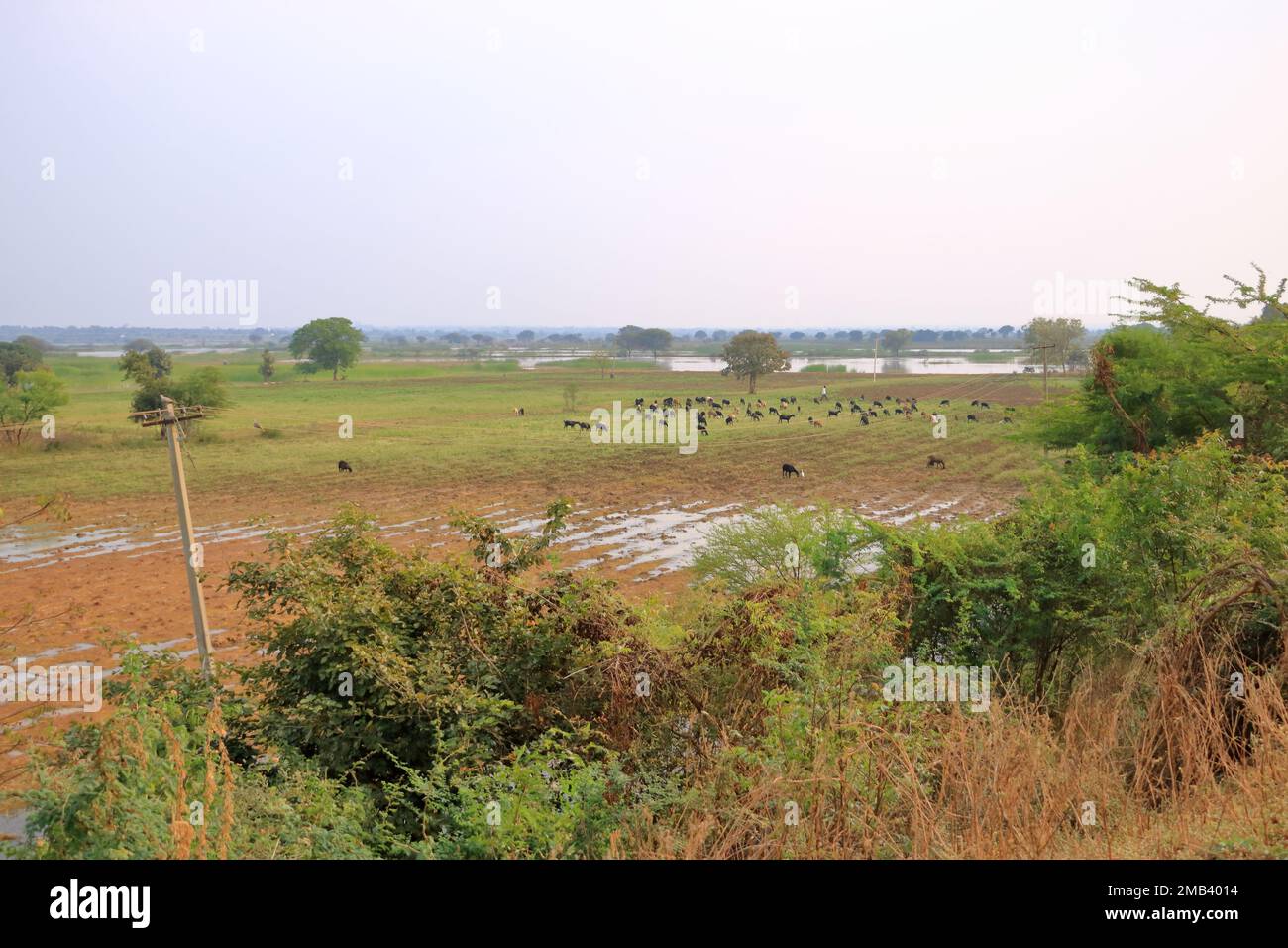Karnataka backwaters sunset hi-res stock photography and images - Alamy