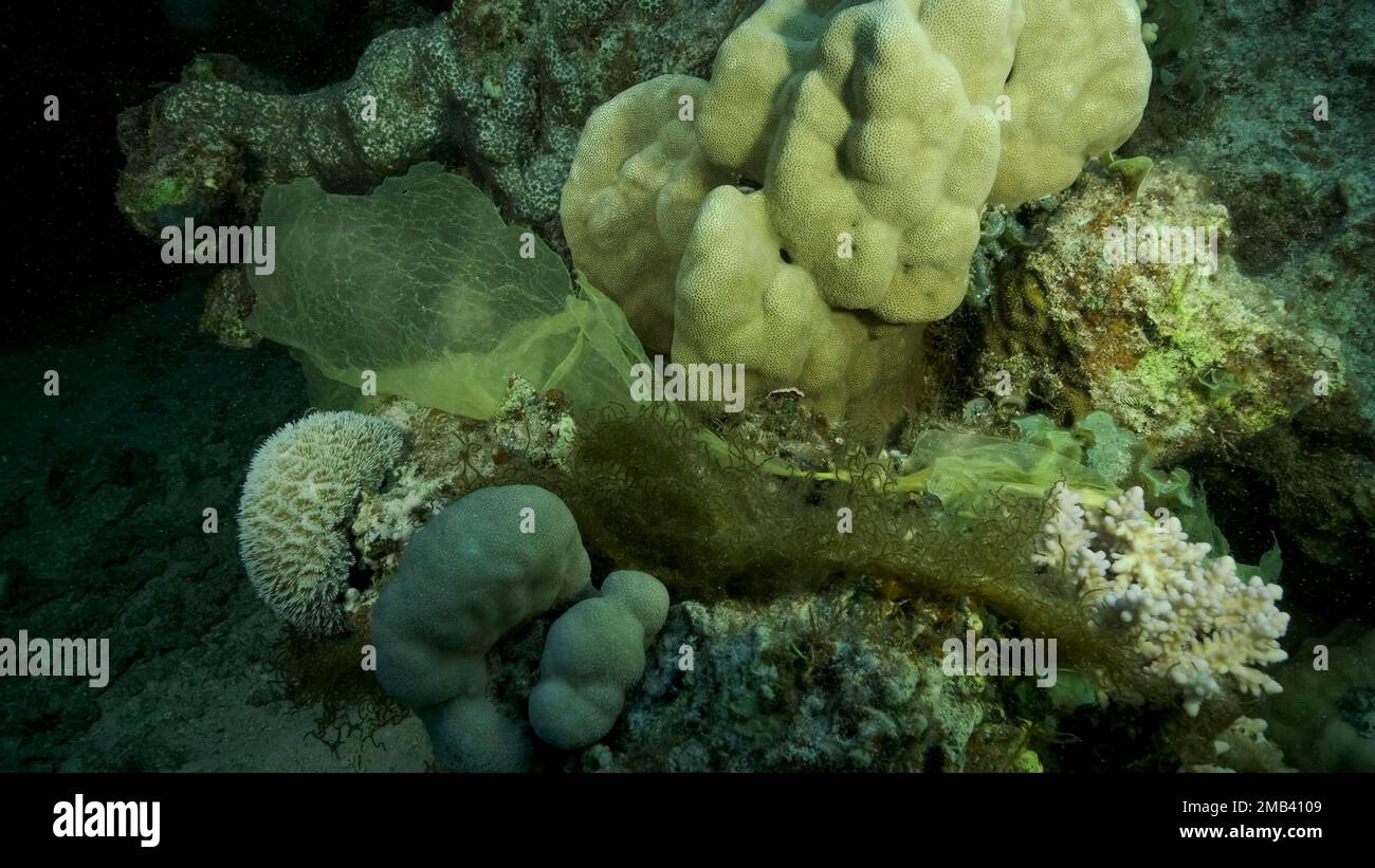 Large piece of a yellow plastic bag lies on a coral reef. Plastic ...