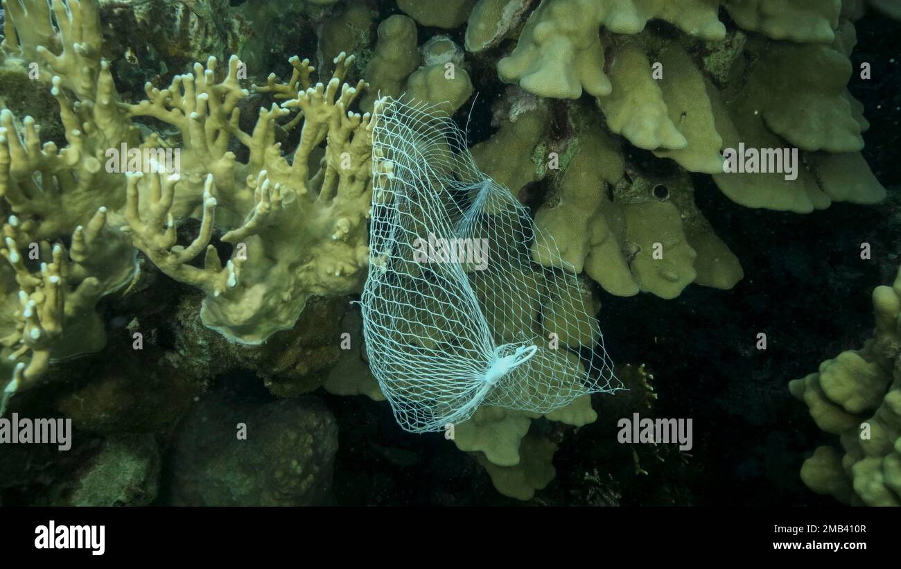 Discarded kitchen plastic storage net shopping hang down of coral reef ...