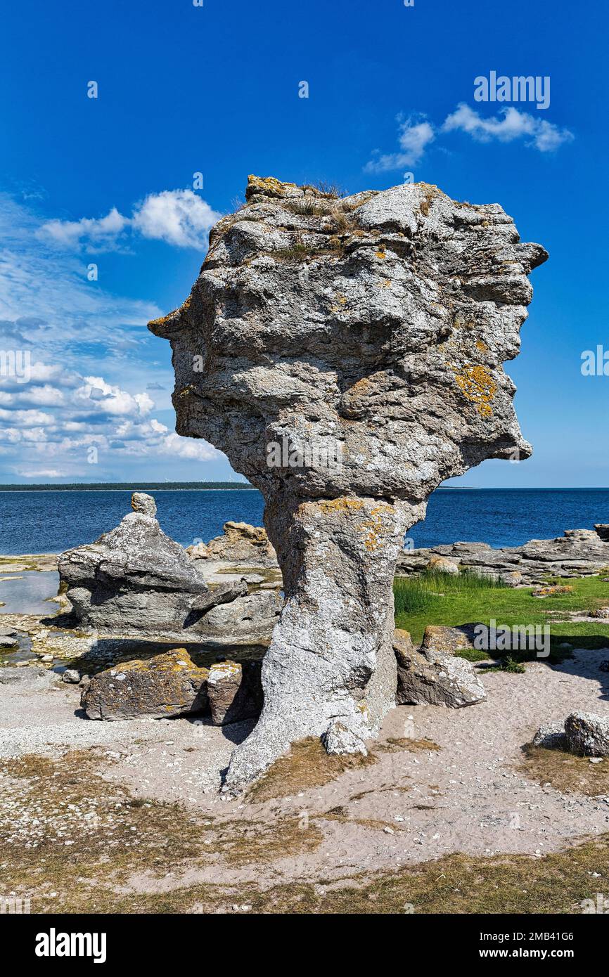 Raukar, bizarre limestone column, rocks of reef limestone on the coast ...