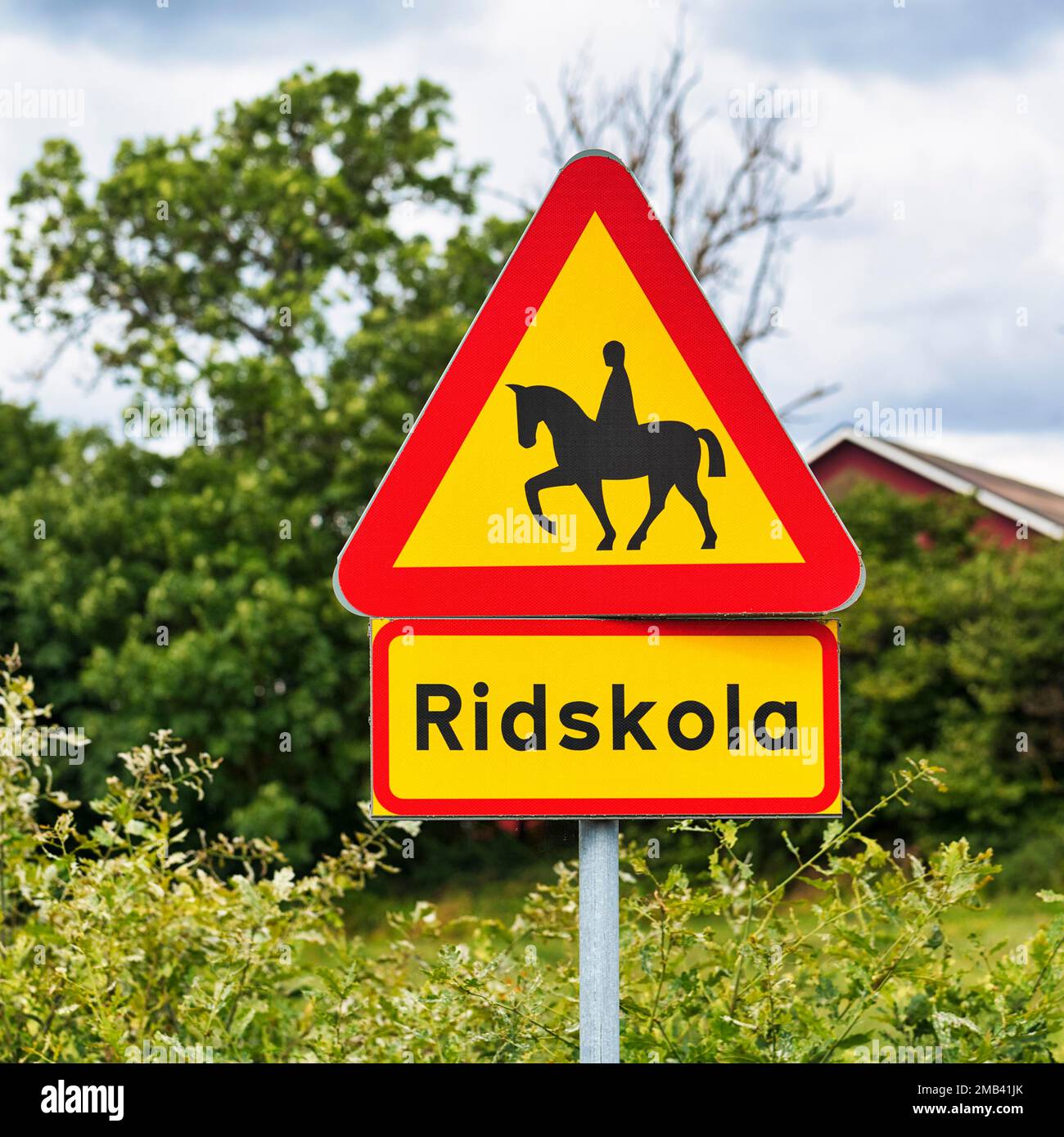 Traffic sign, warning sign, caution rider, horses, inscription Ridskola ...
