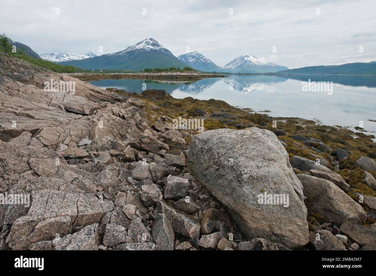 Stony beach by the fjord, Lodingen, Lofoten, Norway Stock Photo - Alamy