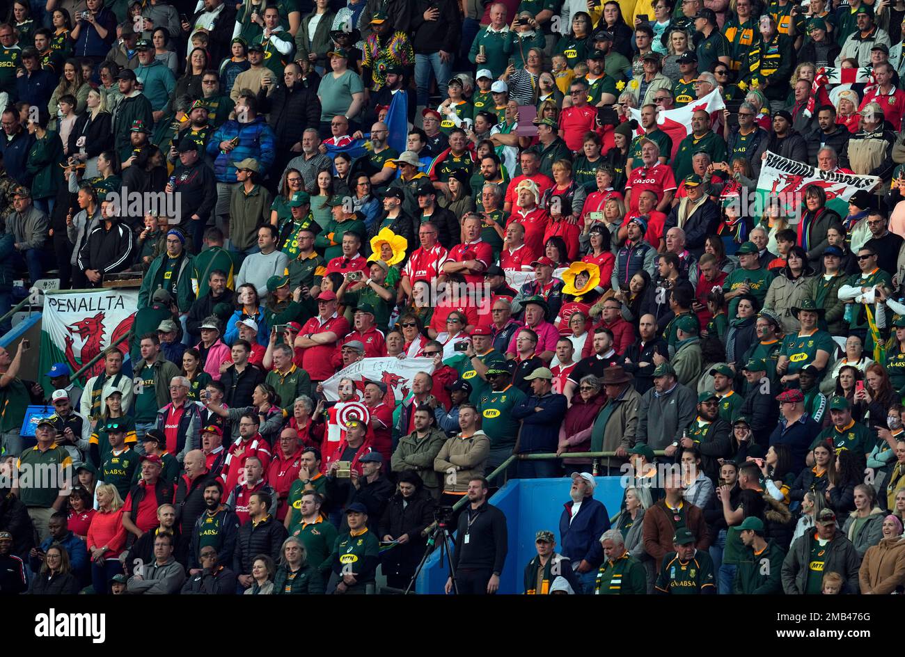 Supporters watch during the Rugby Championship test between South ...